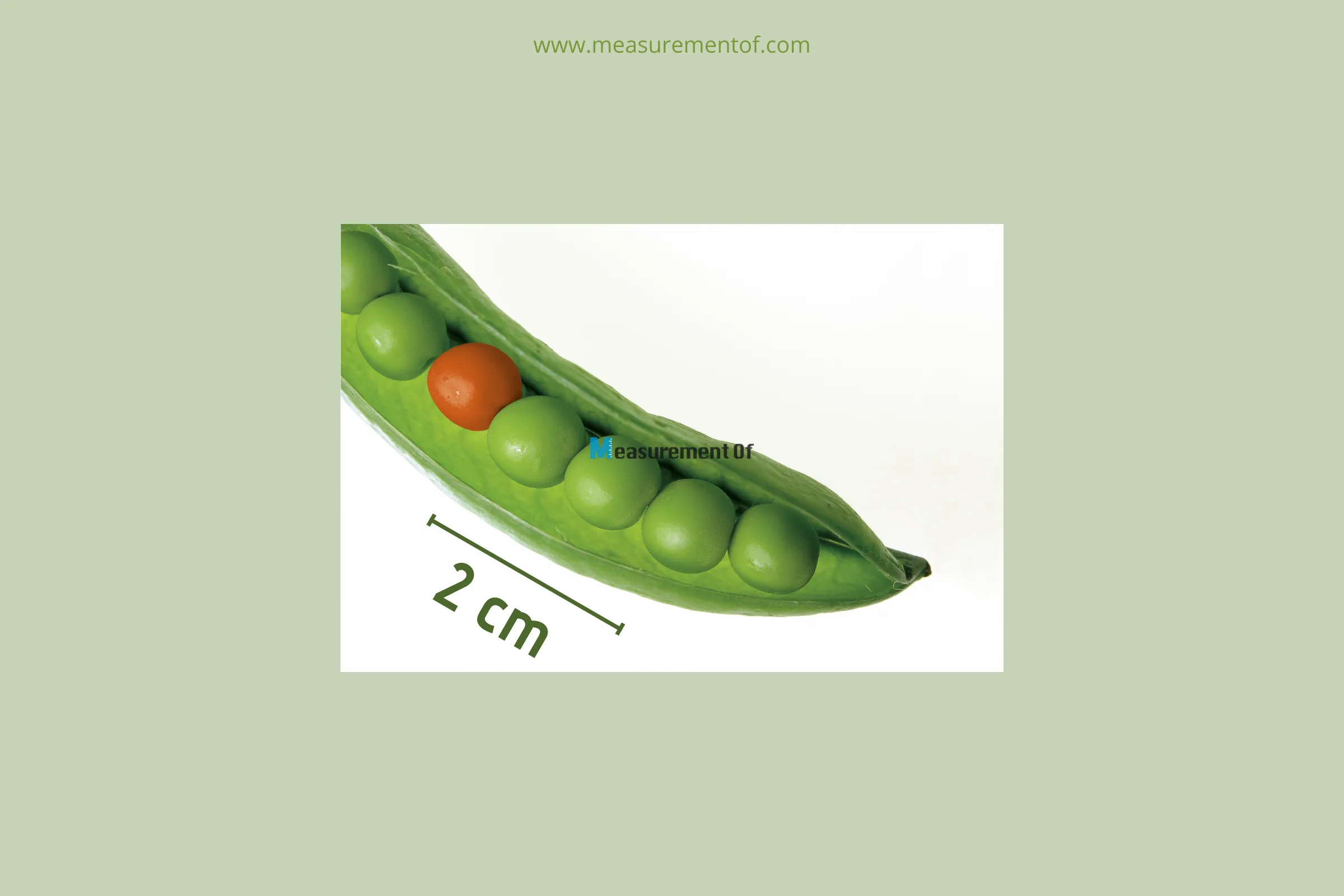 11 Everyday Things That Are 2 Centimeters Long